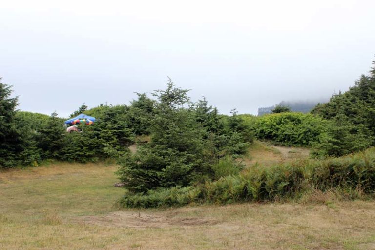 Neah Bay Camping at Hobuck Beach Oceanfront Resort